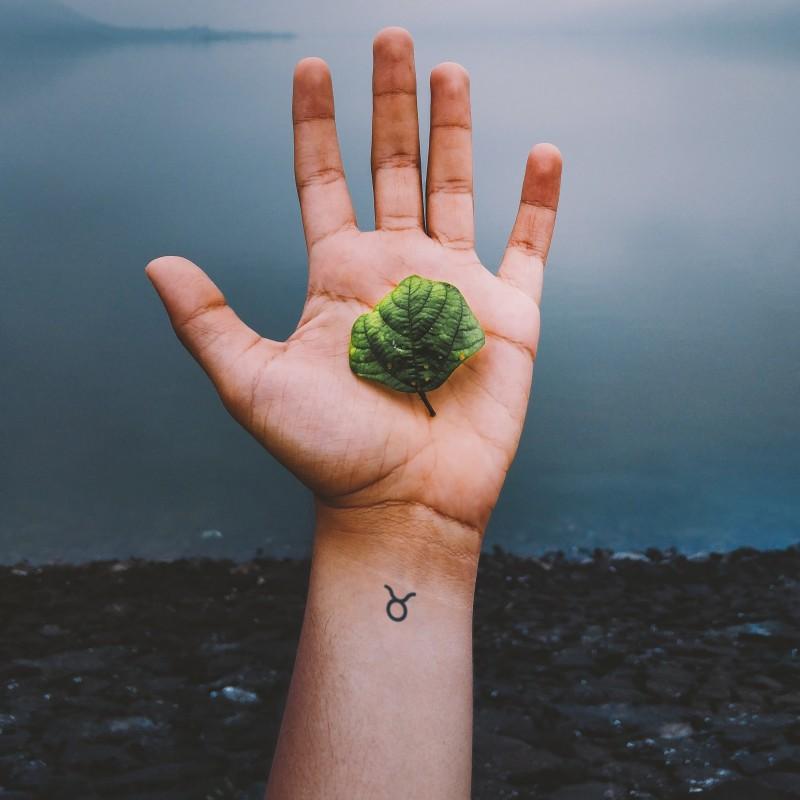 Easy.ink Semi-Permanent Tattoos Collection - easy.ink™